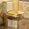 Gold Toilets: The Ultimate Luxury Collection - Royal Toiletry Global