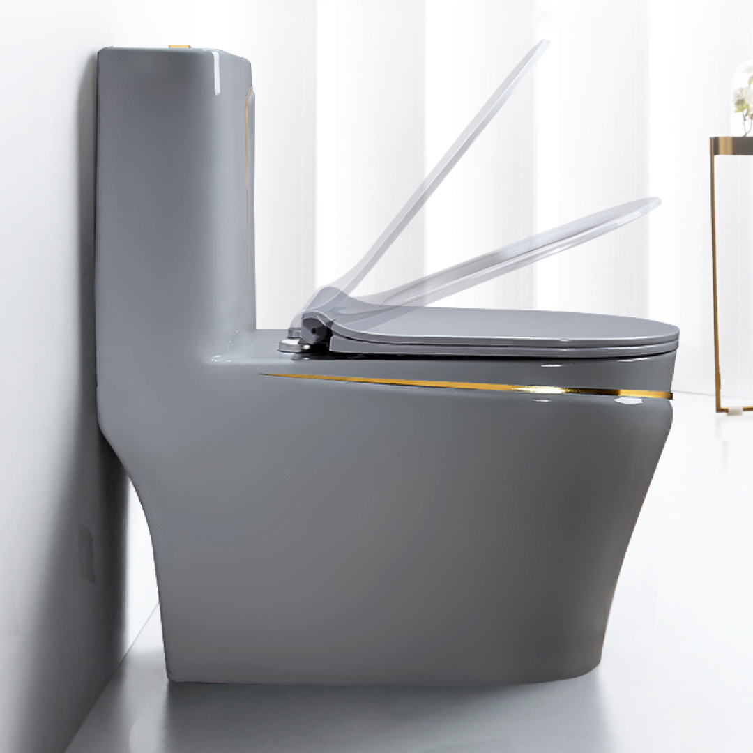 Luxury Pastel Gray Toilet With An Elegant Gold Stripe - Royal Toiletry ...