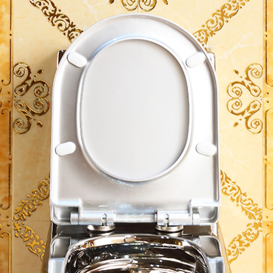 Luxury Design Silver Toilet for Contemporary Bathrooms - Royal Toiletry ...