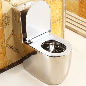 Luxury Design Silver Toilet for Contemporary Bathrooms - Royal Toiletry ...