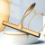 Elegant Gold Shower Squeegee - Royal Toiletry Global
