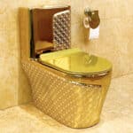 Luxury Gold-Plated Ceramic Toilet with Elegant Finish | Designer ...