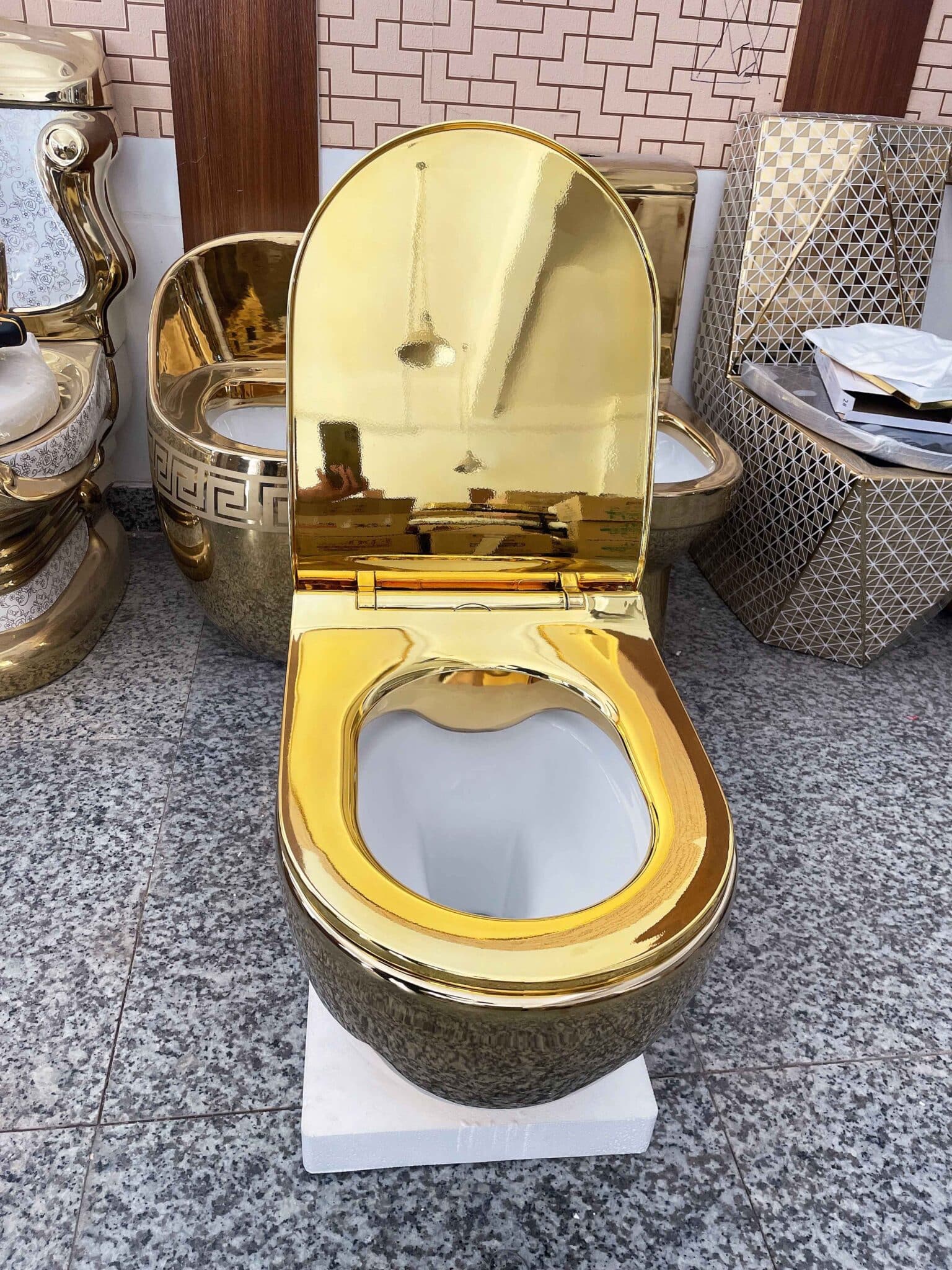 Modern Wall Mounted Plain Gold Toilet - Royal Toiletry Global