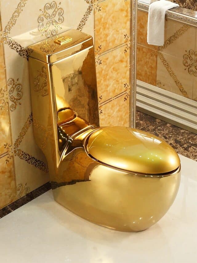 Oval Shaped Plain Gold Toilet - Royal Toiletry Global