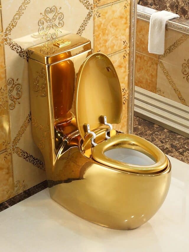 Oval Shaped Plain Gold Toilet - Royal Toiletry Global