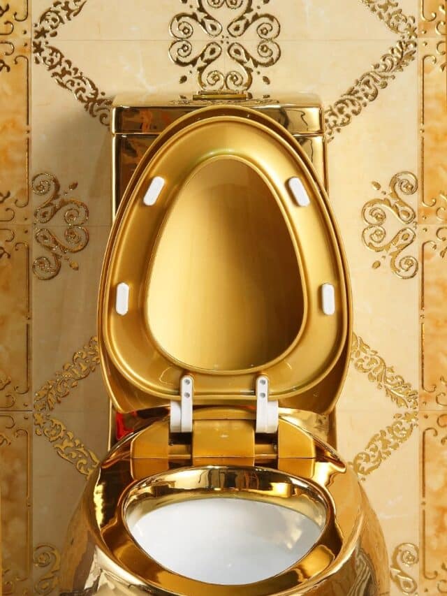 Oval Shaped Plain Gold Toilet - Royal Toiletry Global