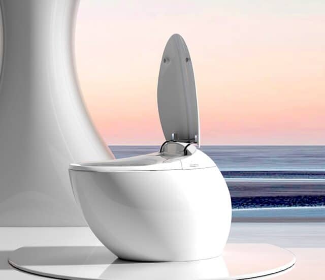 Japanese Toilets: A Blend of Technology and Tradition - Royal Toiletry Global