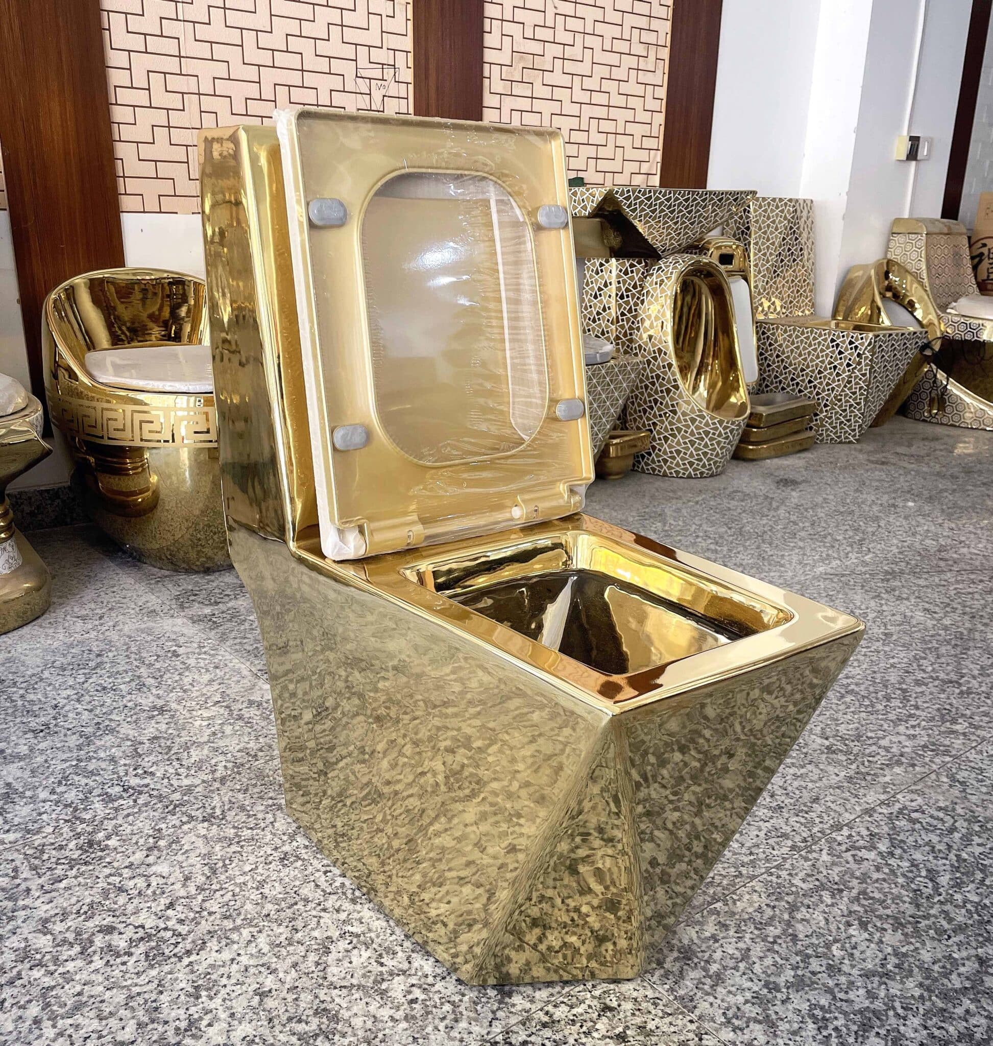 Angular shaped toilets - Something completely new and unique for your ...