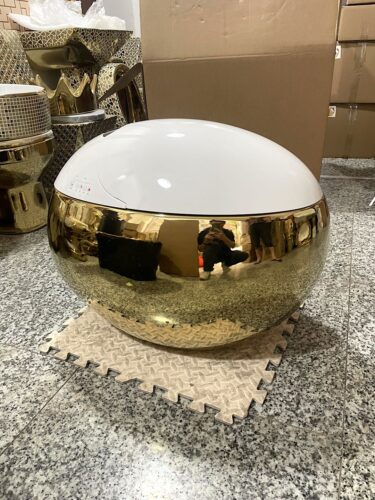 The Ultimate Egg-Shaped Smart Toilet – With a Luxurious Gold or Silver ...