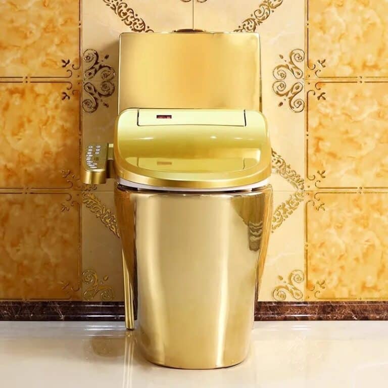 Modern Plain Gold Toilet With Integrated Smart Bidet Seat - Royal ...